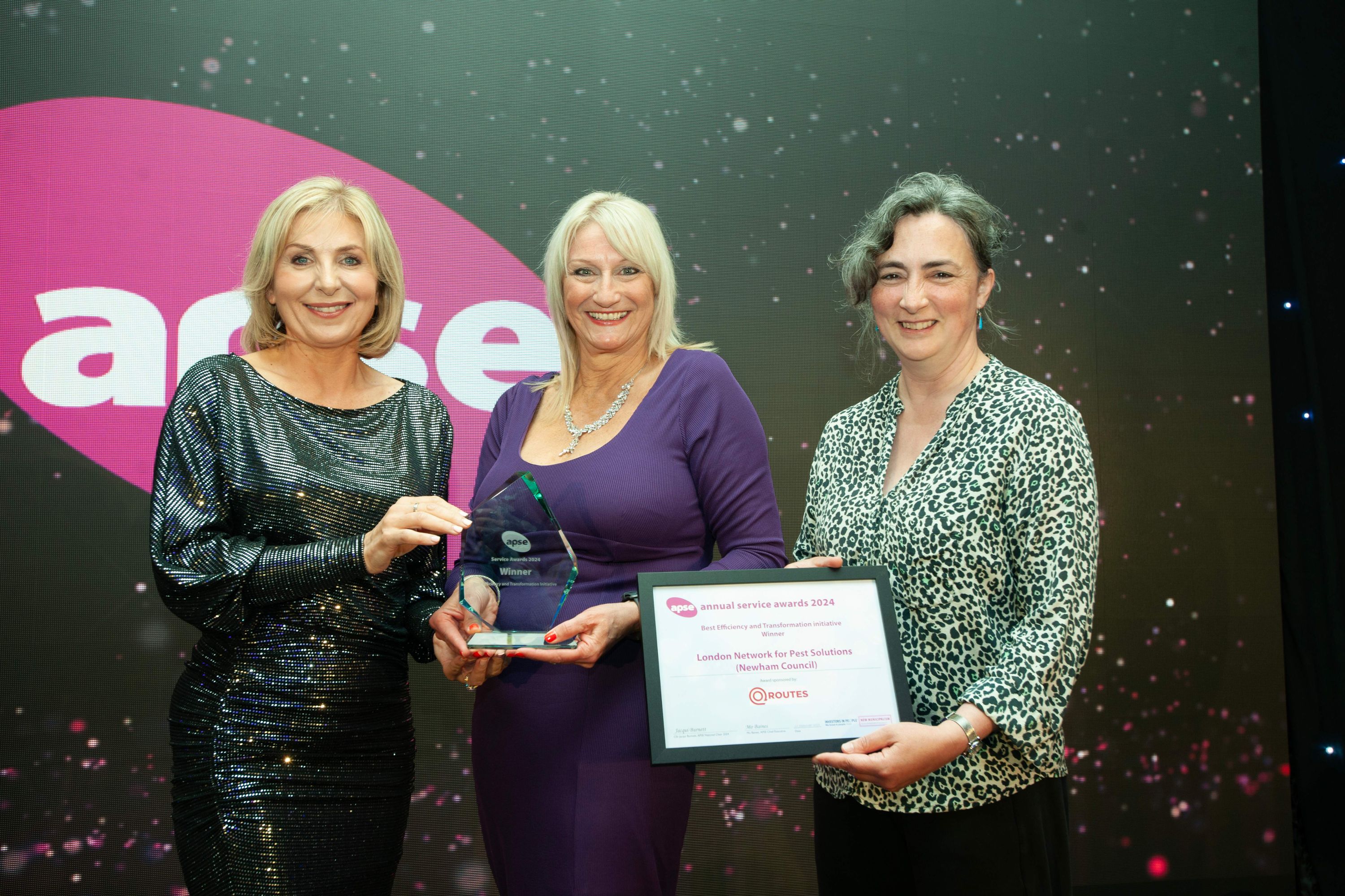 Announcing the winners of the APSE Service Awards 2024 - apse